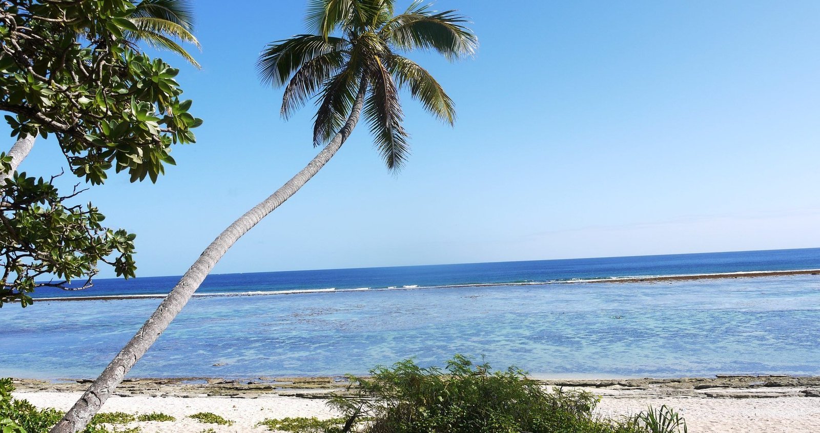 11 Amazing Things to Do and See in Tonga - The Journey