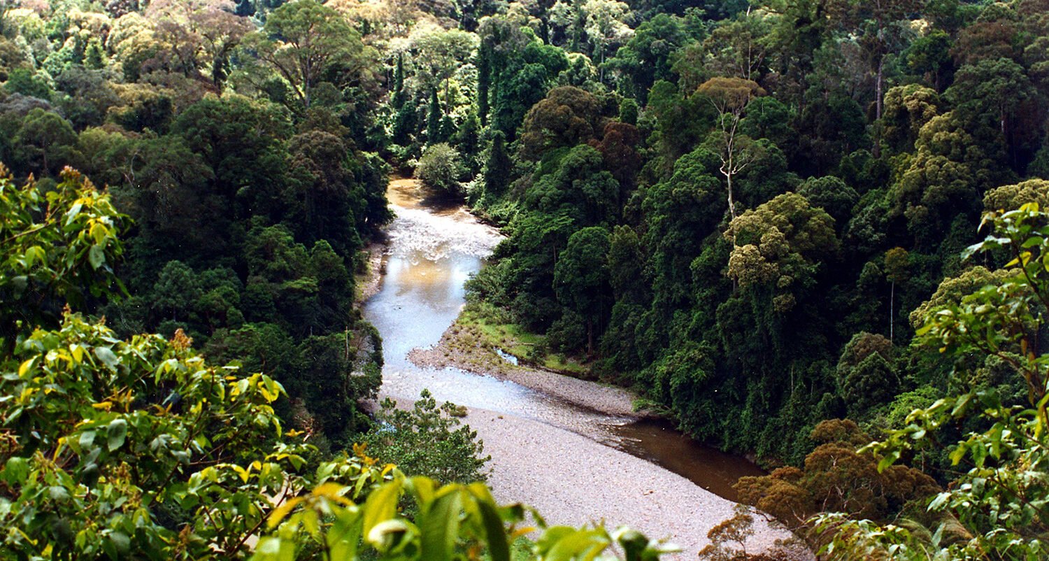 11 Amazing Things to Do and See in Tonga - The Journey